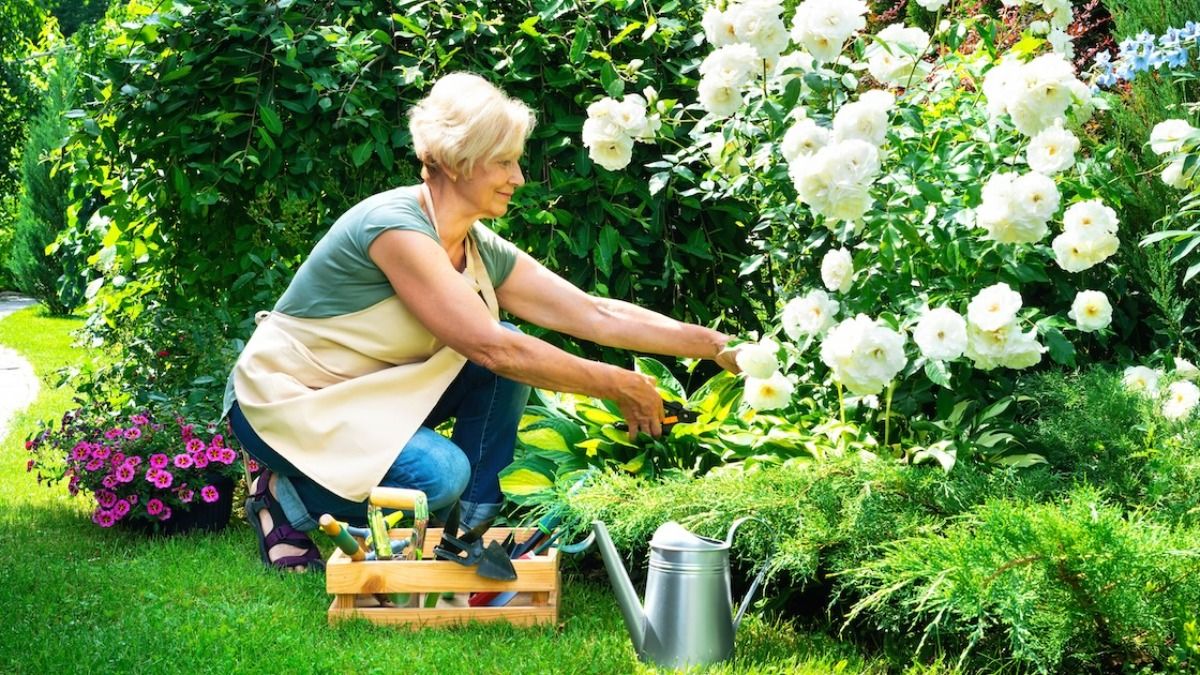 Aita For Not Wanting To Give My Mil A Garden In My Backyard Thats