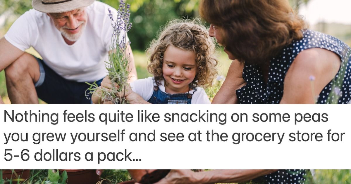 17 people share the new hobbies they'd recommend to others in the new ...