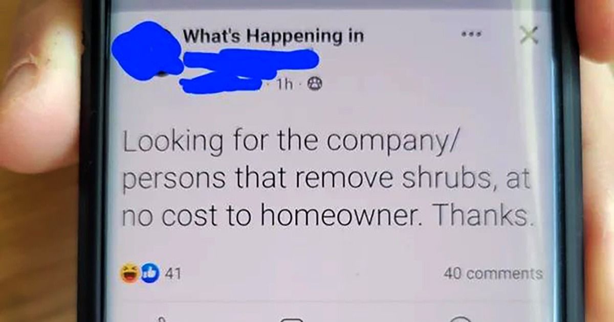 24 'choosing beggars' looking for free or cheap stuff on the internet ...