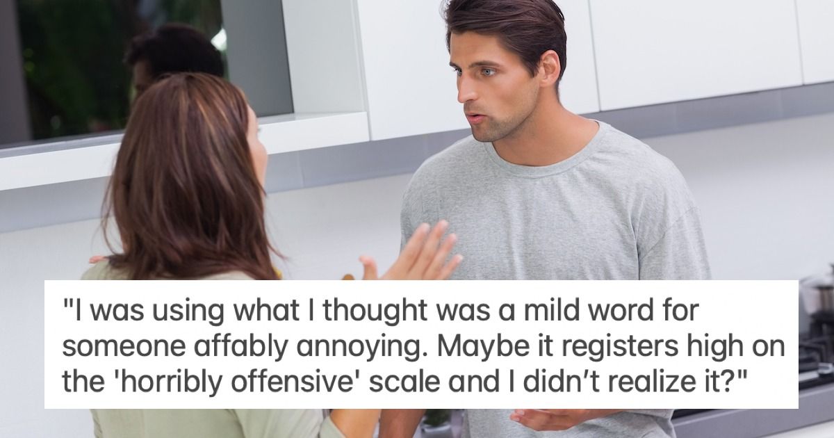 Frustrated husband explains to wife that he is not a 'mansplainer ...