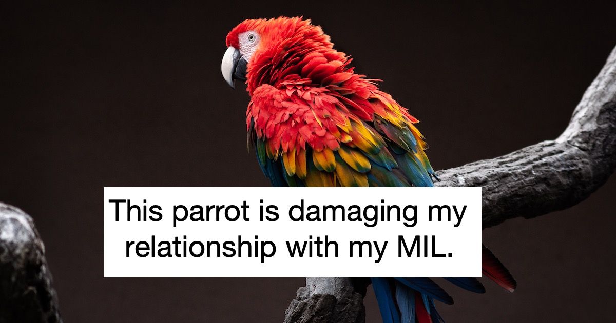 Man's parrot turns out to be "toxic." Family keeps their distance from ...