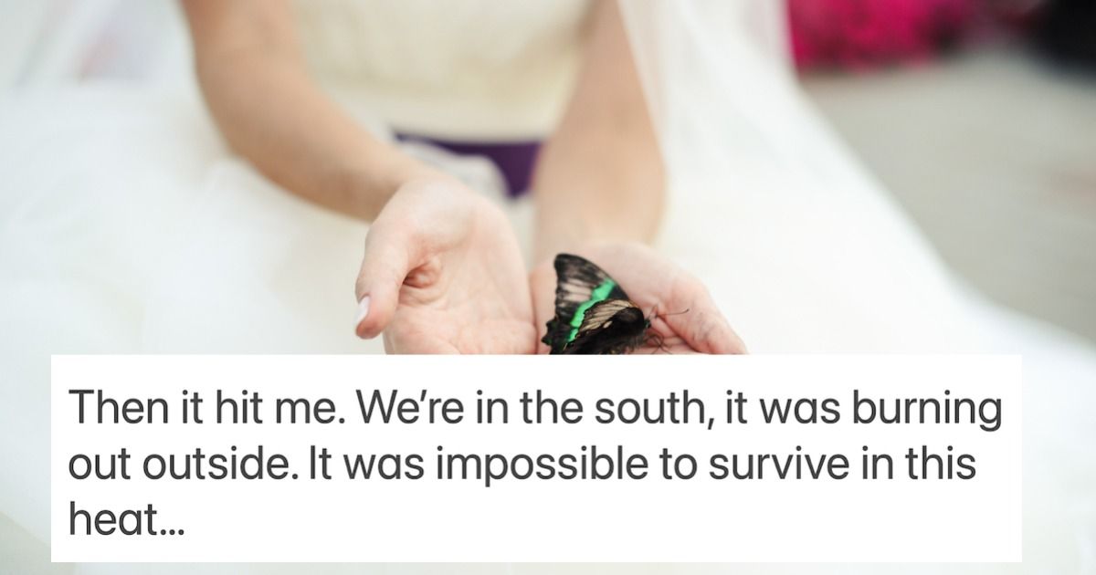 Photographer shares story of 'cruel' butterfly-themed wedding disaster ...
