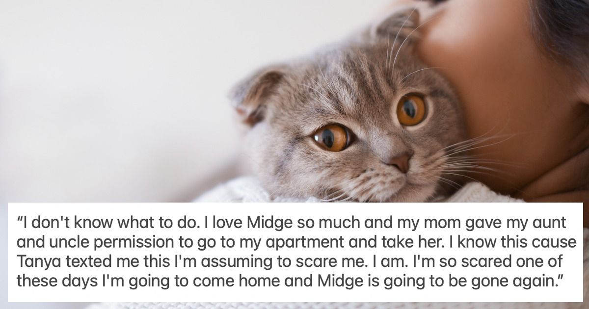 Woman steals cousin's cat then tries to get her 'canceled' and sue her ...