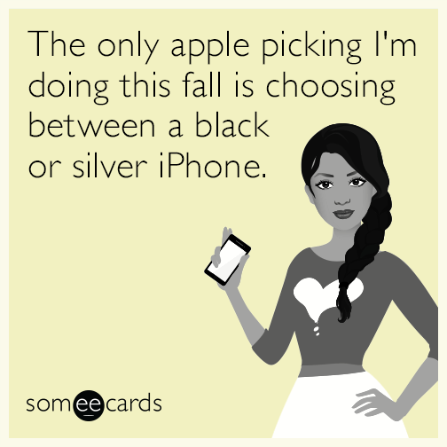 The only apple picking I'm doing this fall is choosing between a black ...