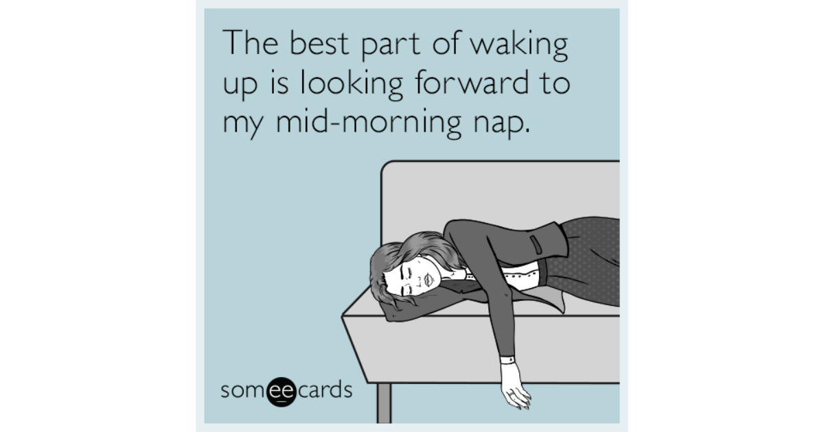 The best part of waking up is looking forward to my mid-morning nap ...