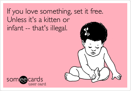 If you love something, set it free. Unless it's a kitten or infant ...