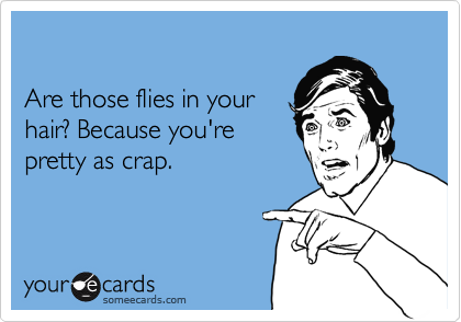 Are those flies in your hair? Because you're pretty as crap. | Flirting ...