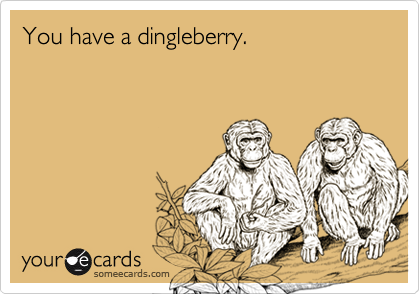 You have a dingleberry. | Apology Ecard
