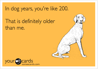 In dog years, you're like 200. That is definitely older than me ...