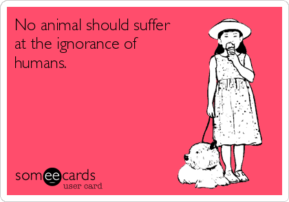No animal should suffer at the ignorance of humans. | Pets Ecard